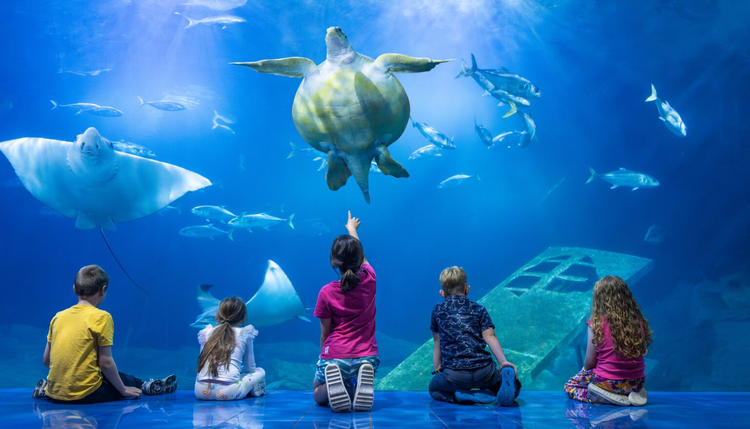 Experiences & Events | National Marine Aquarium