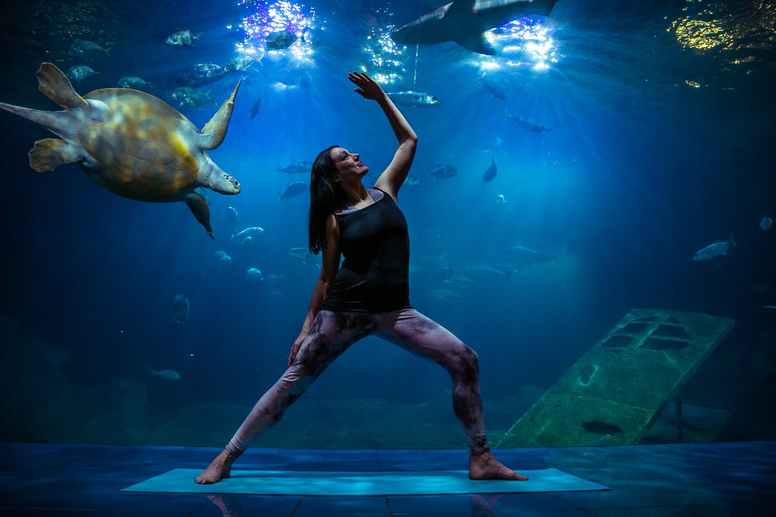 Yoga and Wellness at The Aquarium Mailing List - National Marine Aquarium
