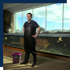 Secrets of The Aquarium | Stars of the Show