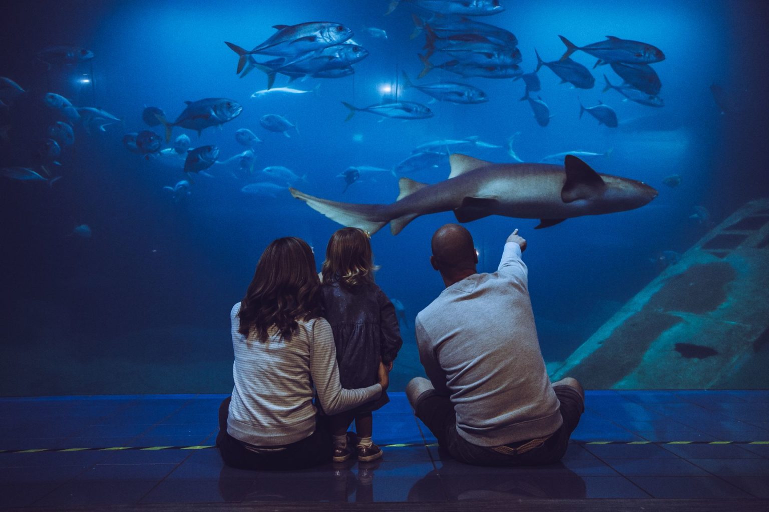 Experiences & Events | National Marine Aquarium