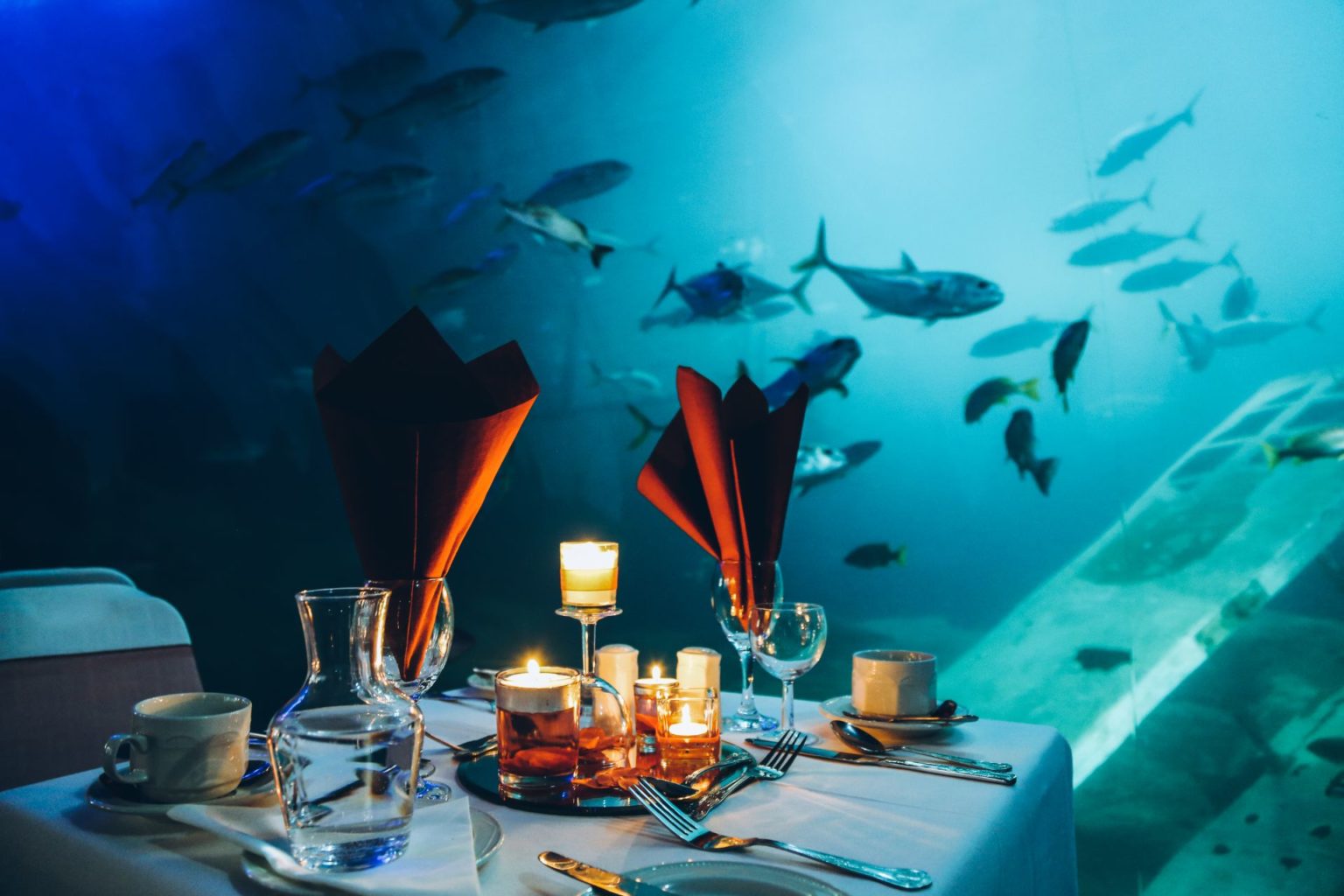 Experiences & Events | National Marine Aquarium