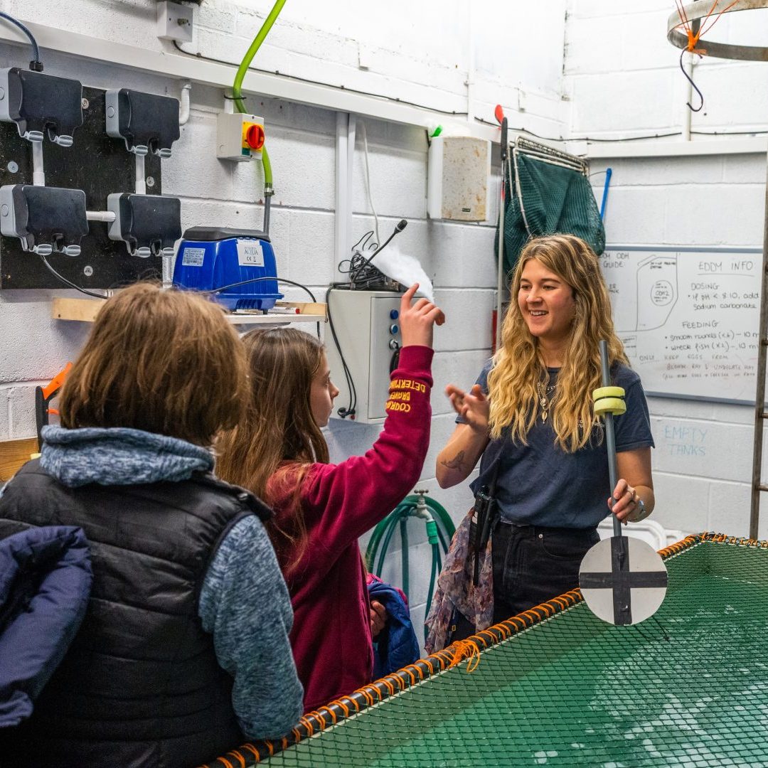 Ocean Squad with the Ocean Conservation Trust - National Marine Aquarium
