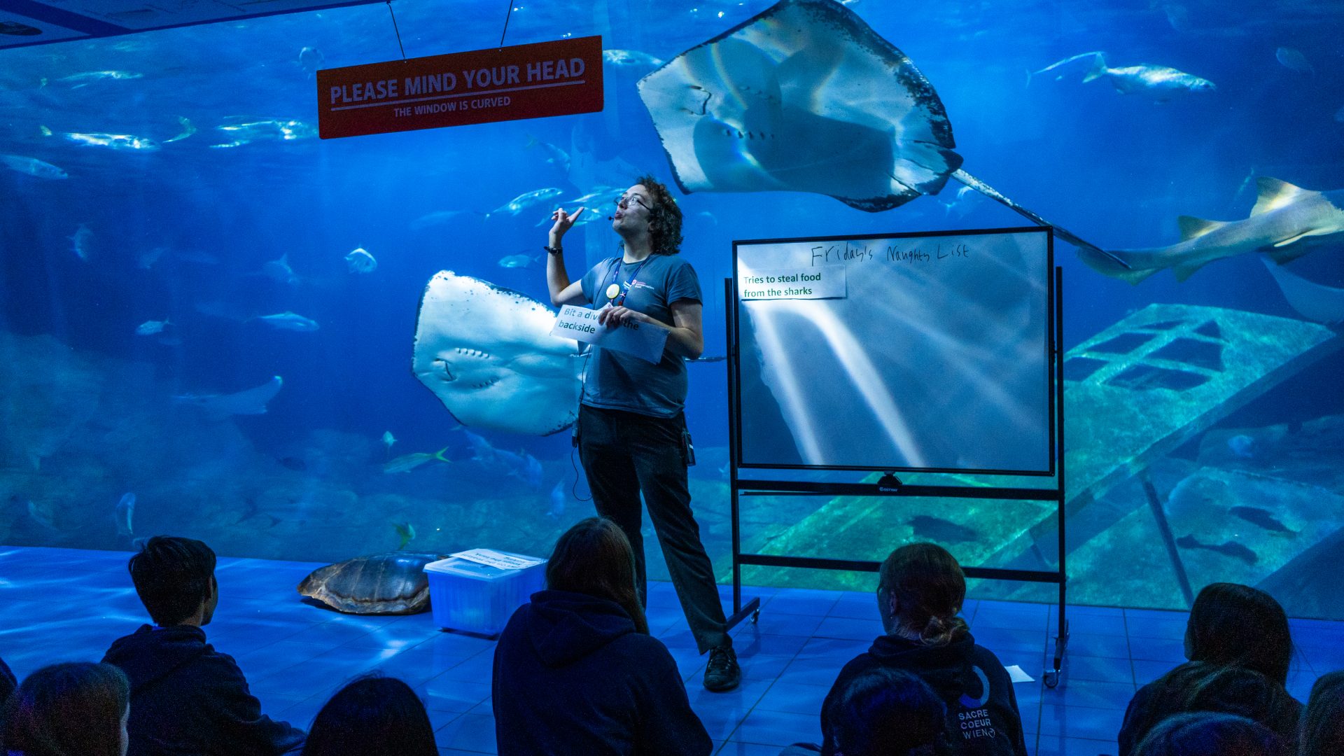 Ocean Discovery Ranger – Level 2 (Youth Support) - National Marine Aquarium