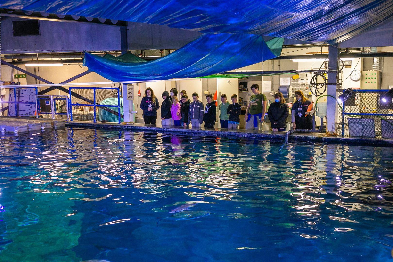 Secrets of The Aquarium Competition - National Marine Aquarium