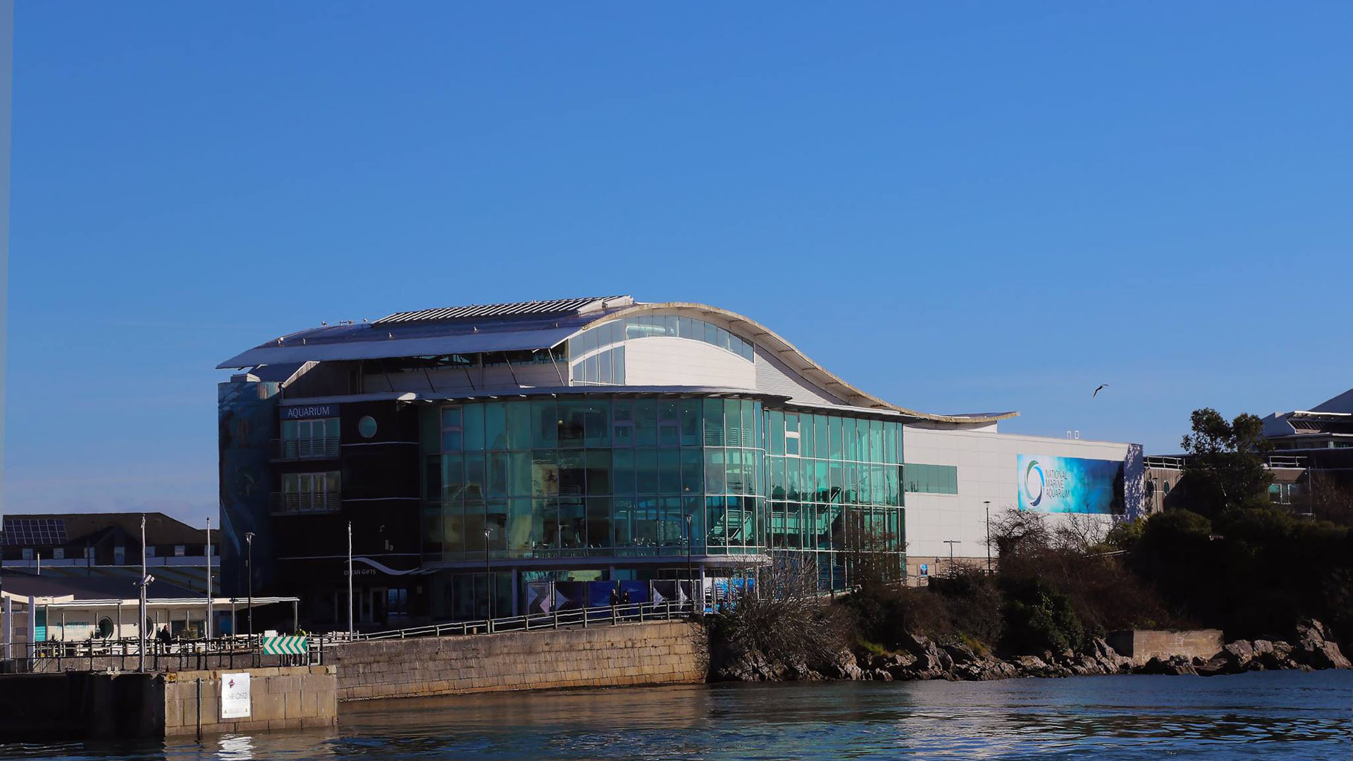 Our Aquarium | The UK's Largest Aquarium | National Aquarium